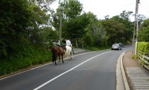 Road centre lines and what they mean