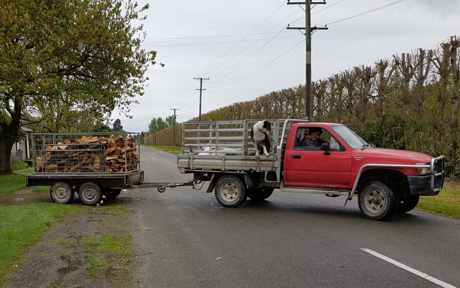 What is a ute? Advantages and disadvantages