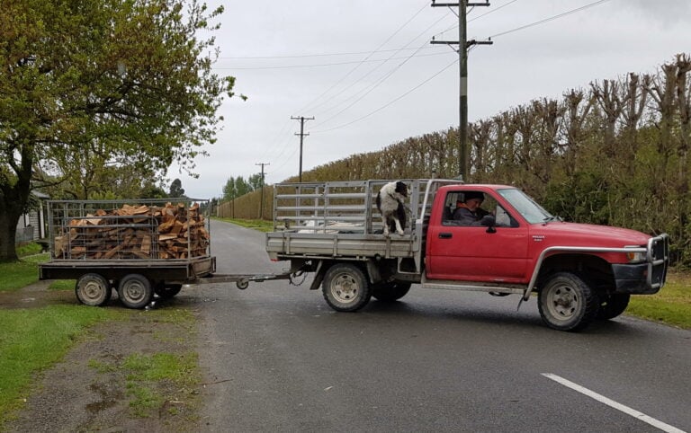 What is a ute? Advantages and disadvantages