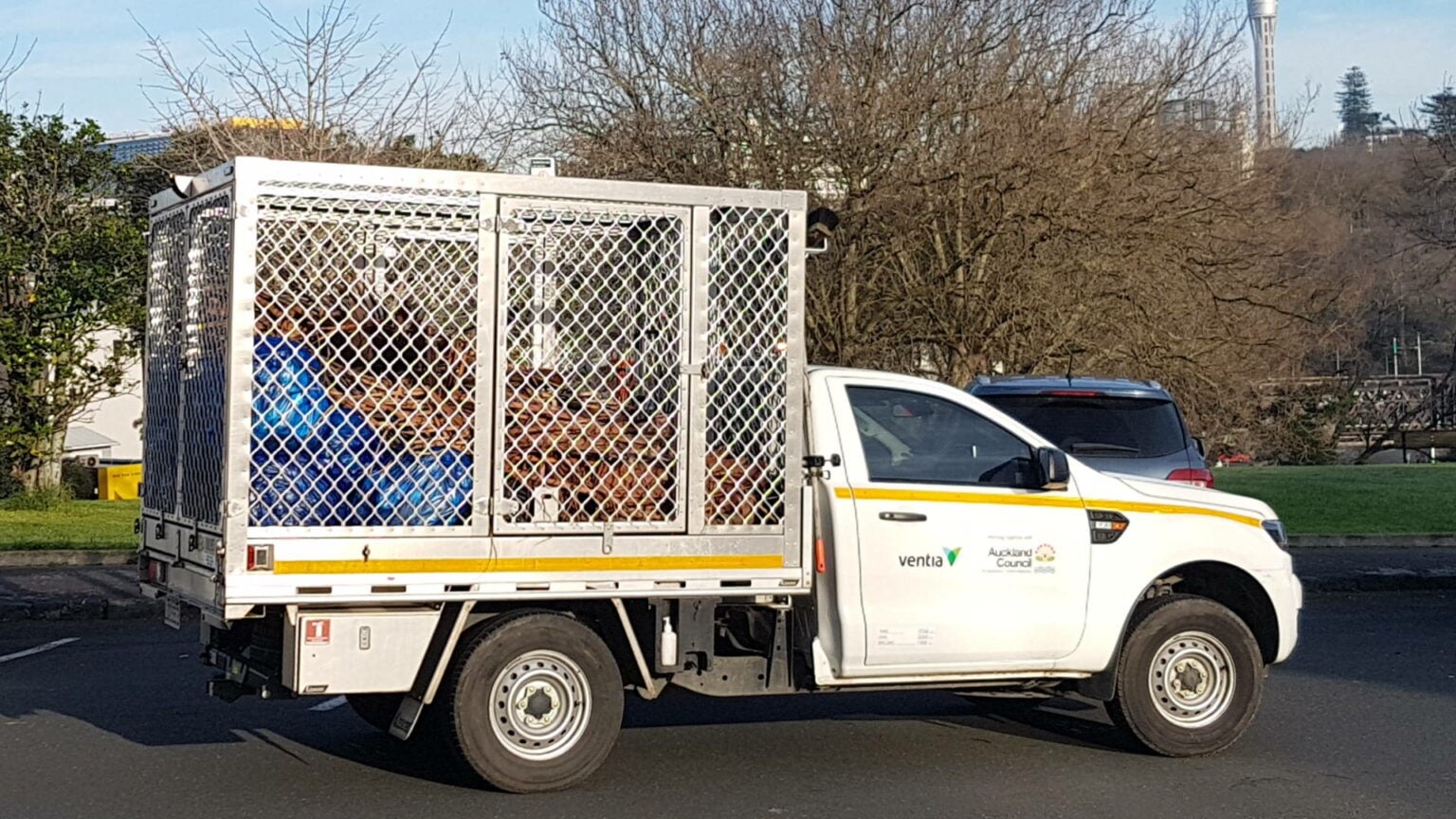 How can you safely load a ute or pickup truck?