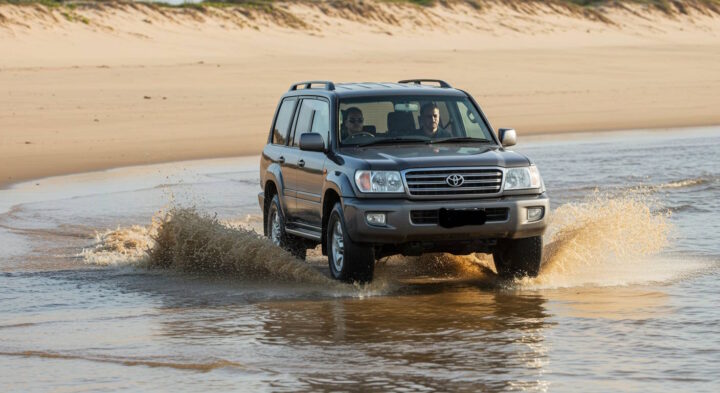 Sand Driving Techniques for Coastal Conservation Projects