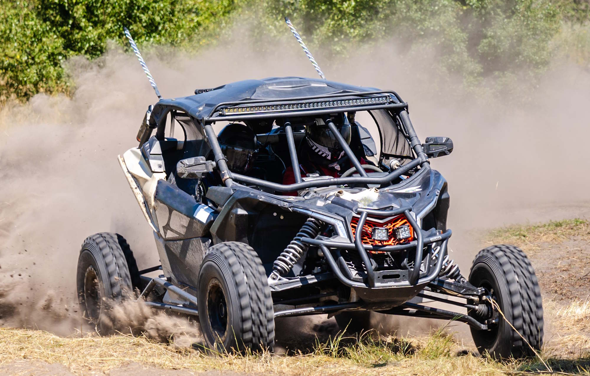 Buggy Ruckwartsgerichtet Test